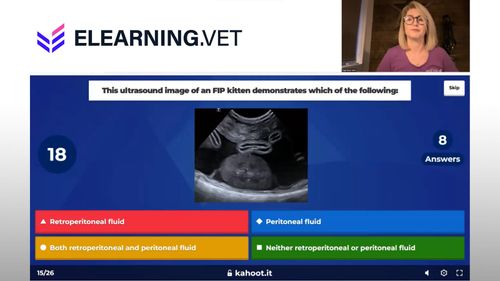 ELEARNING.VET - Memberships Veterinary Professionals, UK